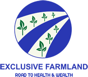 ExclusiveFarmland: Cultivating a Sustainable Future for Agriculture ...